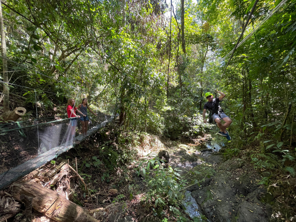 ZIP LINE – Canopy Tour – Sukia Park Booking Suite