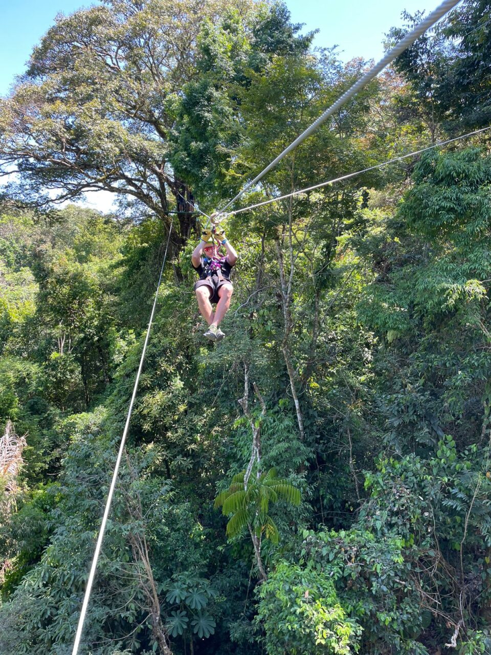 ZIP LINE – Canopy Tour – Sukia Park Booking Suite